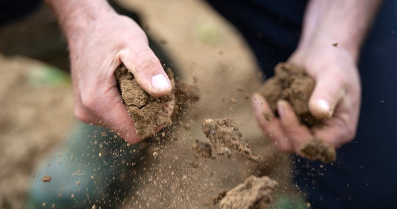 Soils – Tried & Tested Soils – Tried & Tested